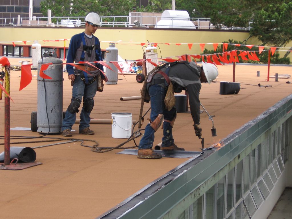 Project Gallery | Building Consultants, Ltd.